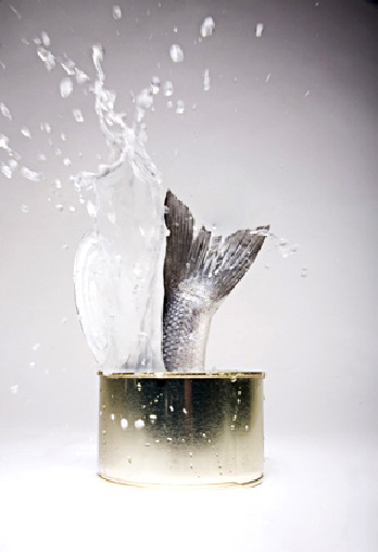 Ratgeber Kunst: aqua-emotion.de